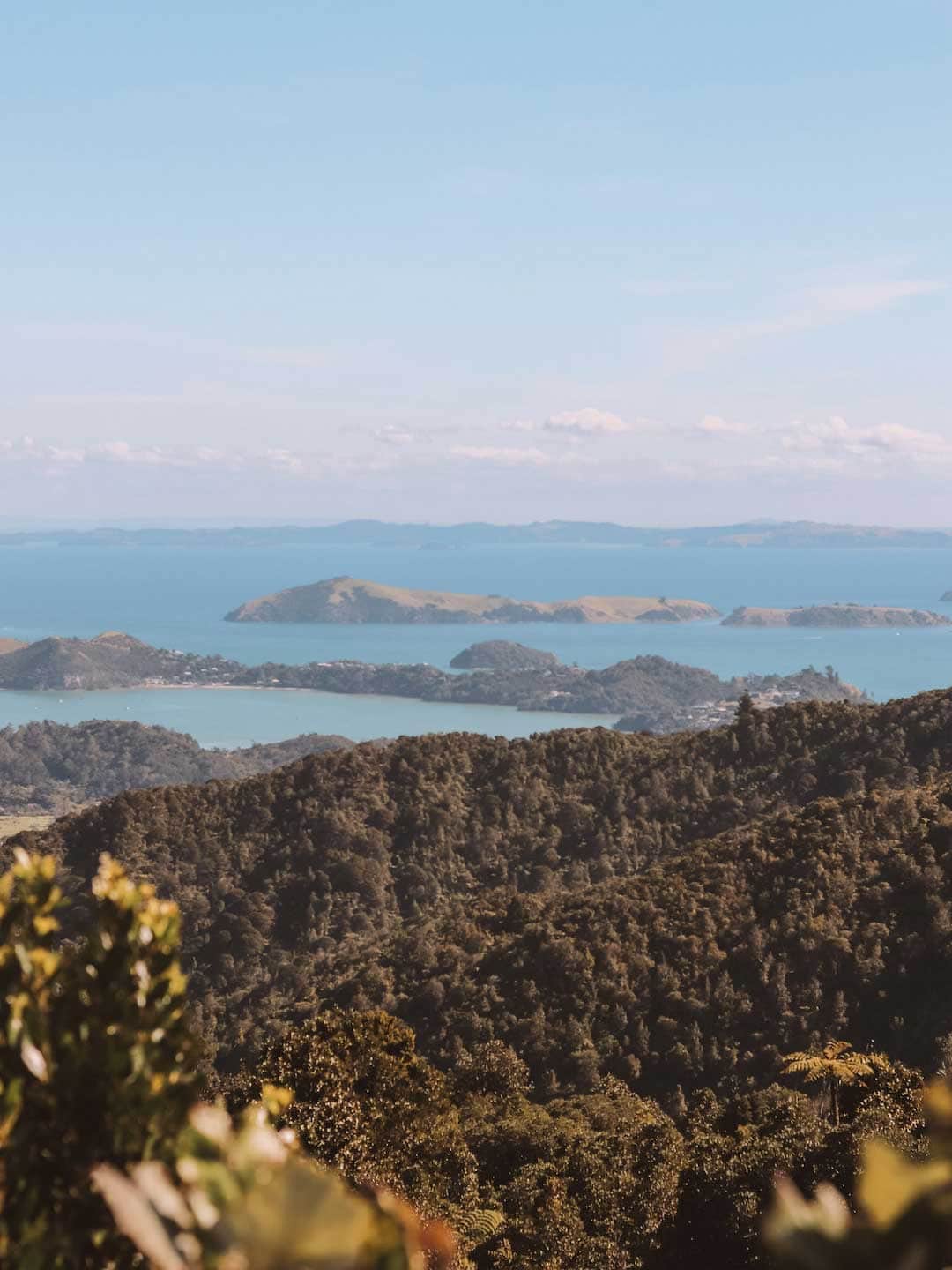 12 Things to do in Coromandel | Guide to Exploring NZ's Best Coastline